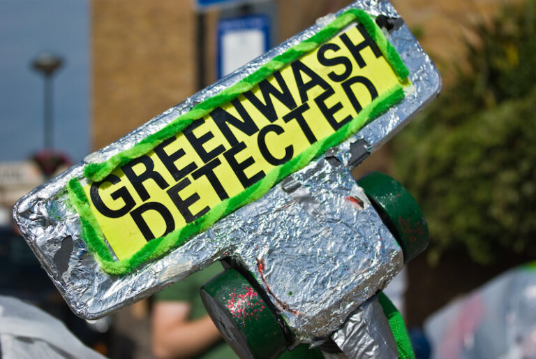 Sustainable Fashion Advocates: Celebrities Promoting Eco-Friendly ...